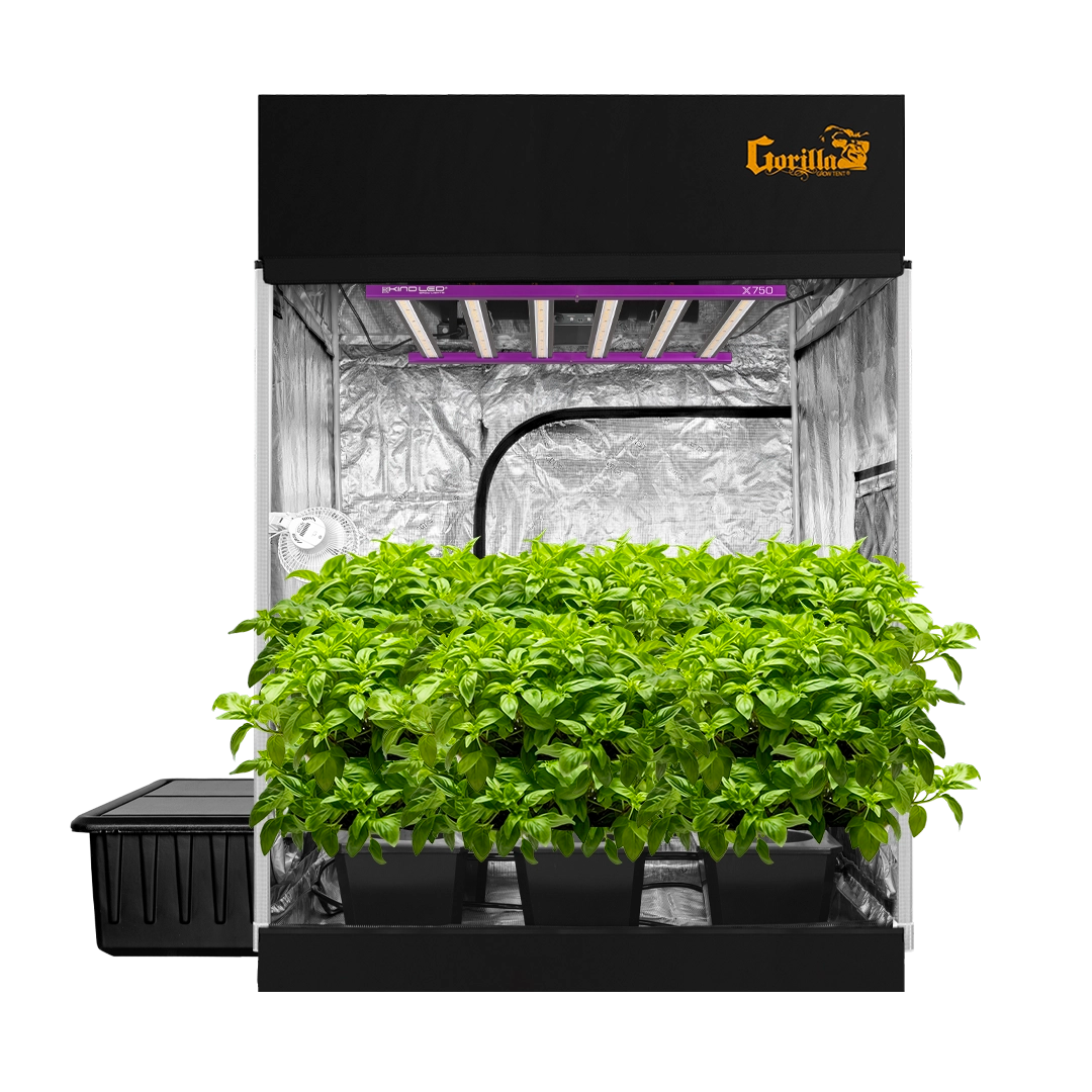 5x5 Grow Tent Kit: Maximize Your Indoor Plants