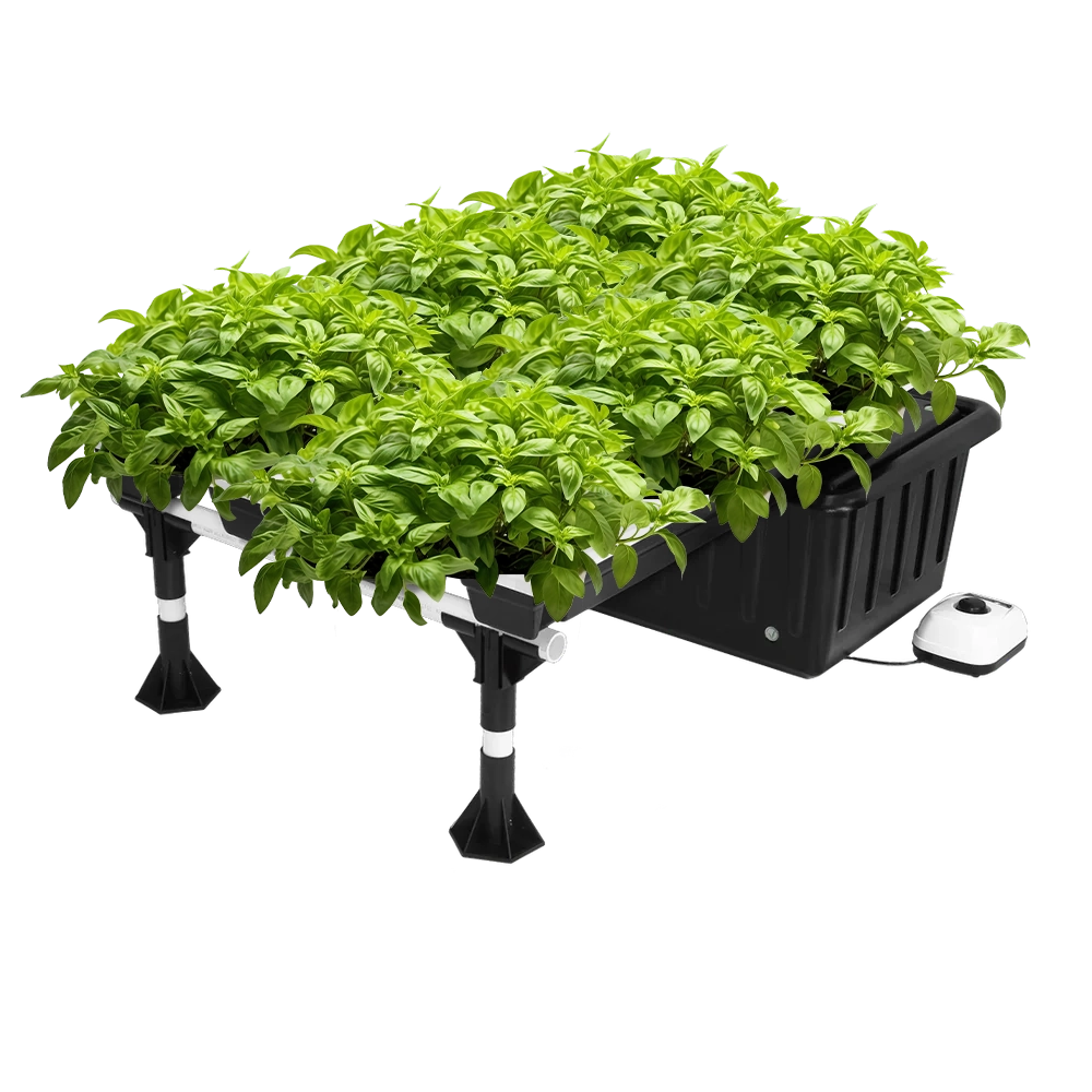 Ebb And Flow Hydroponic System 20 Site 