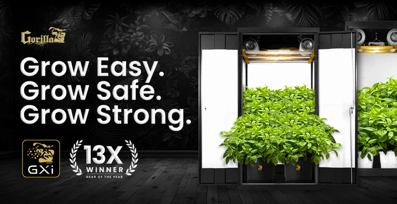 Best Indoor Grow Tents 2025: Complete Buyer's Guide & Reviews