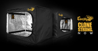 Gorilla Introduces Gorilla Clone Tents for Clones and Seedlings!