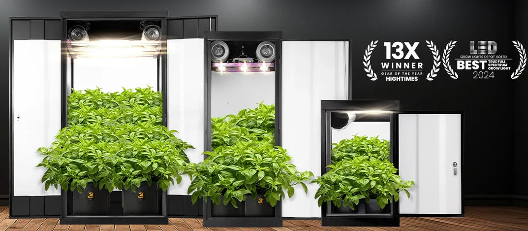 Automatic Grow Box: Simplify Indoor Gardening