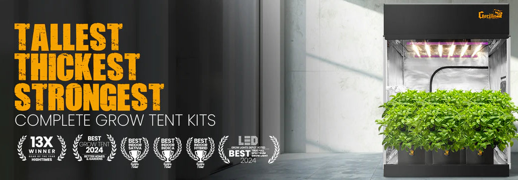 Indoor Grow Setup: A Guide to Growing Plants Indoors