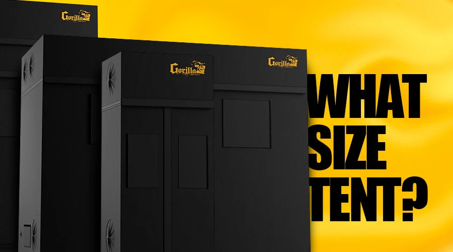 Best Grow Tent Sizes: 2x2, 4x4, or 5x5? Complete 2025 Comparison Guide