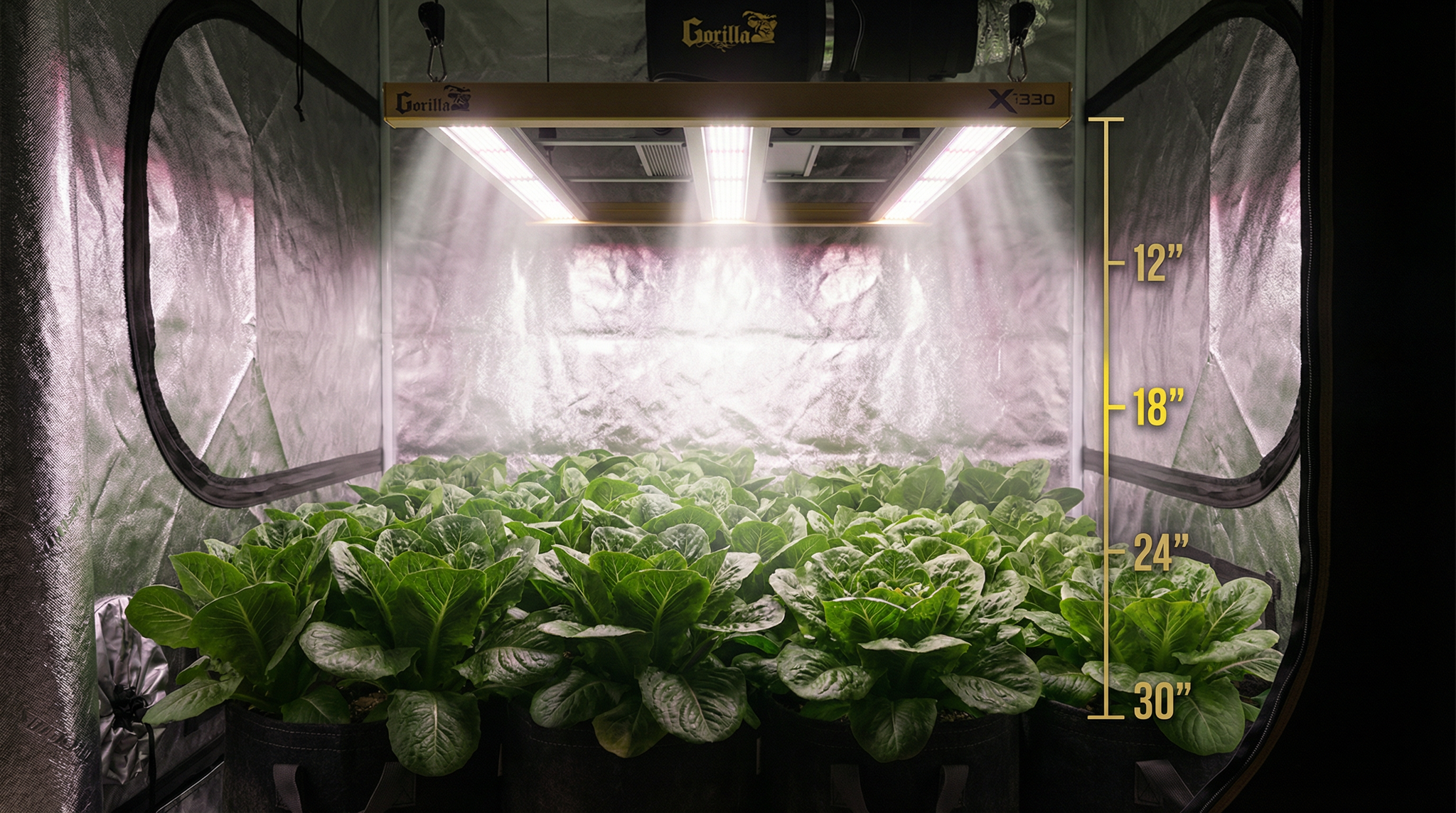 Grow Light Distance Chart LED: Perfect Heights for Maximum Plant Growth