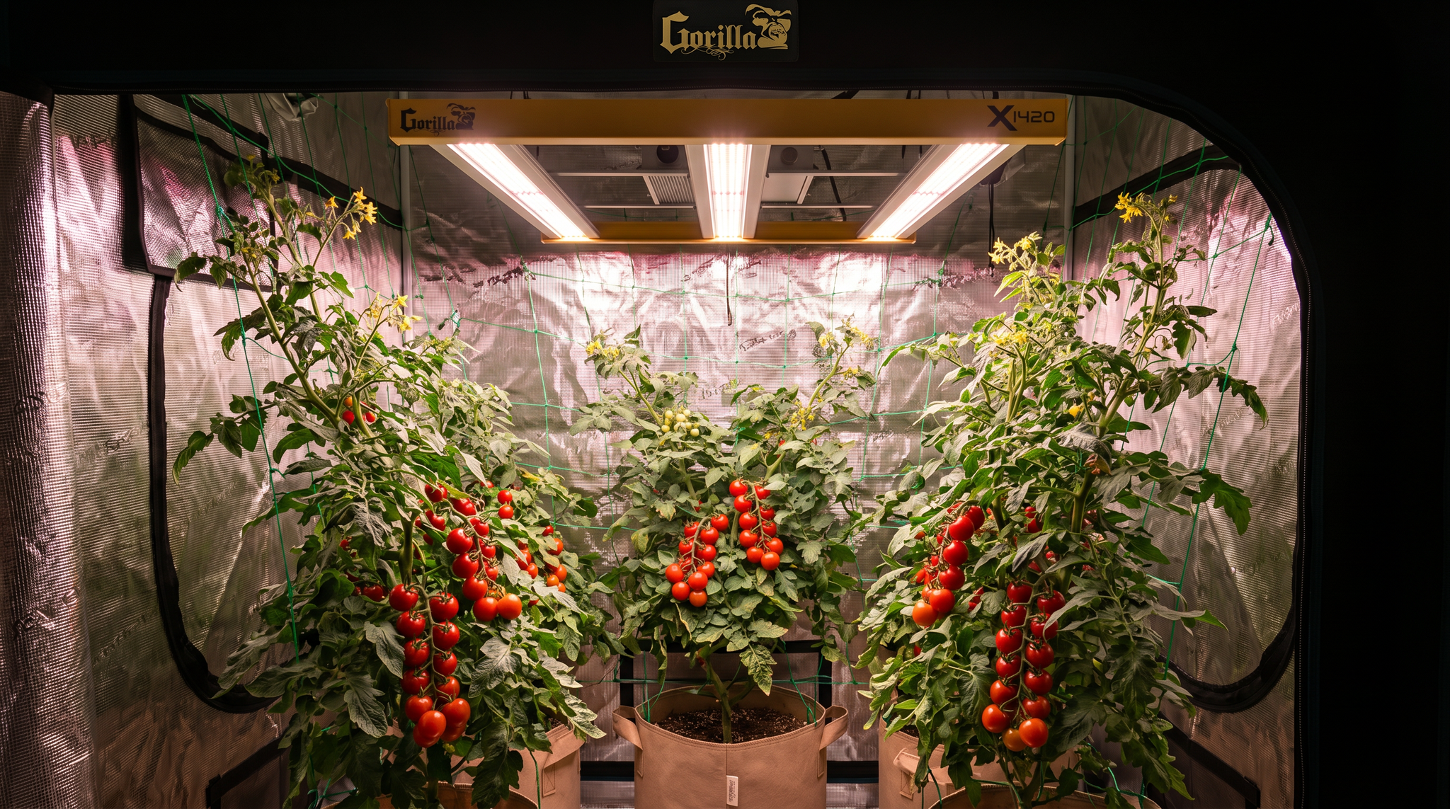 Grow Lights for Tomatoes: Complete Indoor Growing Guide 2025