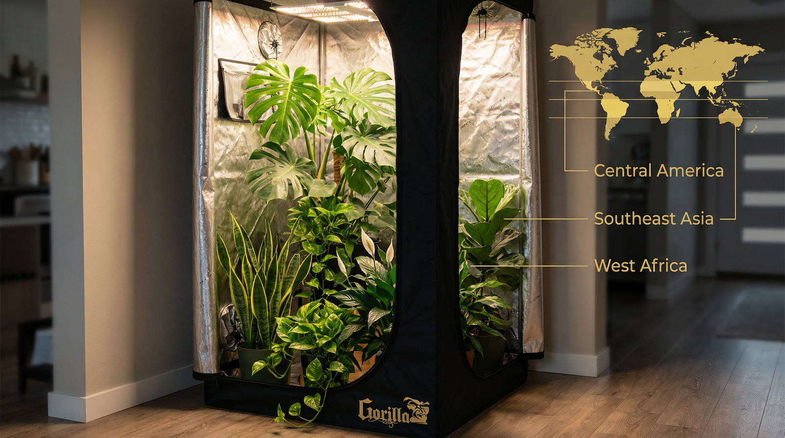 Where Does Plant Grow Naturally? Cannabis Origins & Wild Habitat