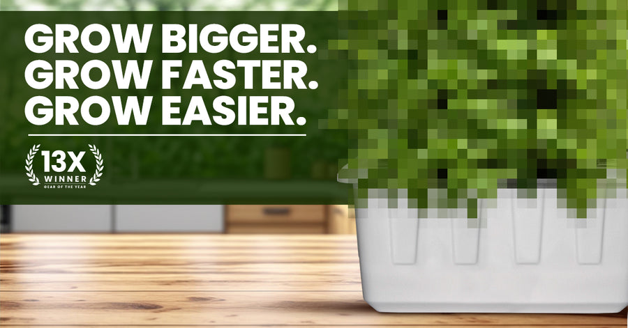 A Complete Guide to Hydroponic Cloners for Rapid Plant Propagation