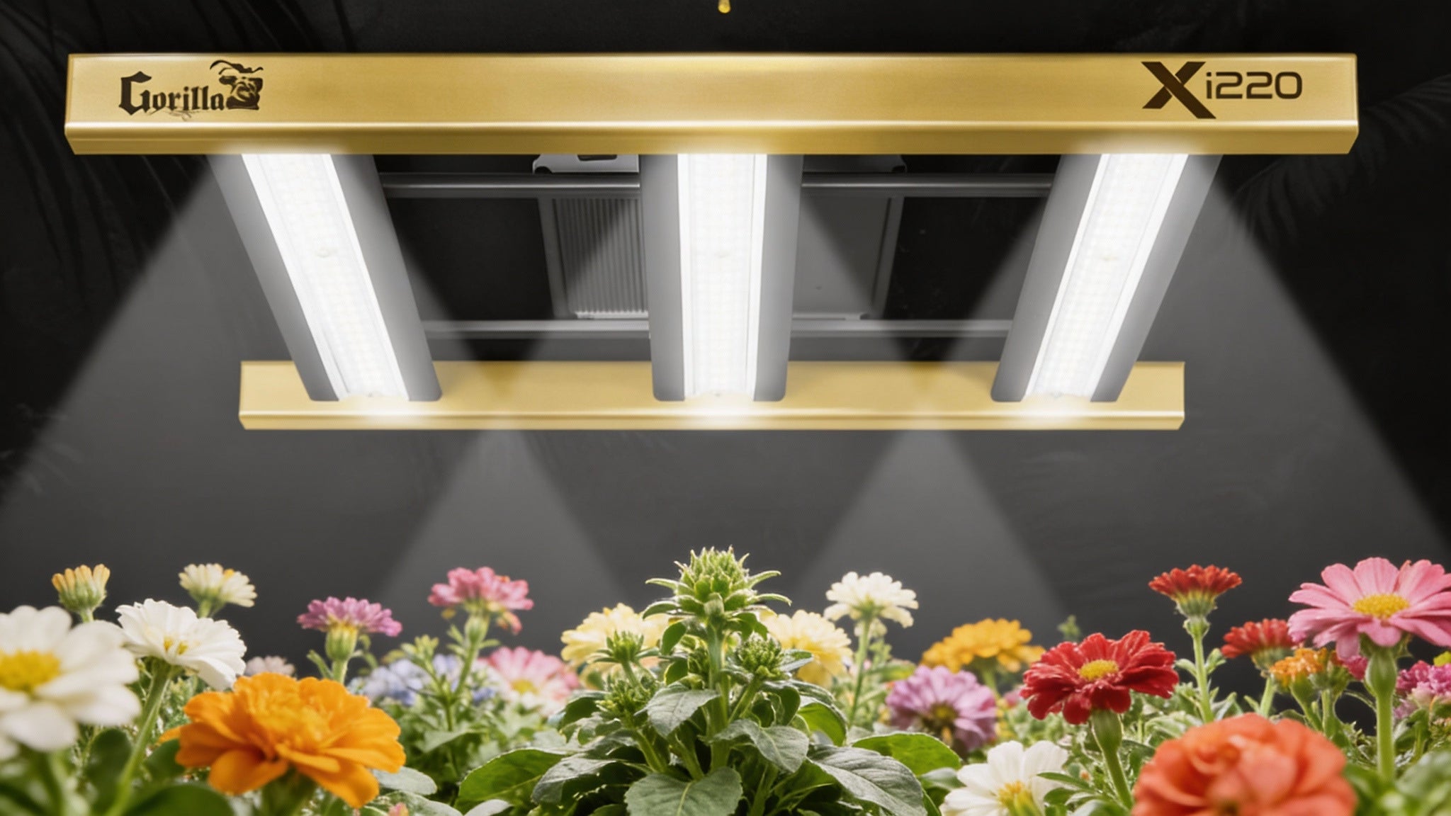 Flowering Grow Light Guide: Maximize Yields & Bud Quality 2025