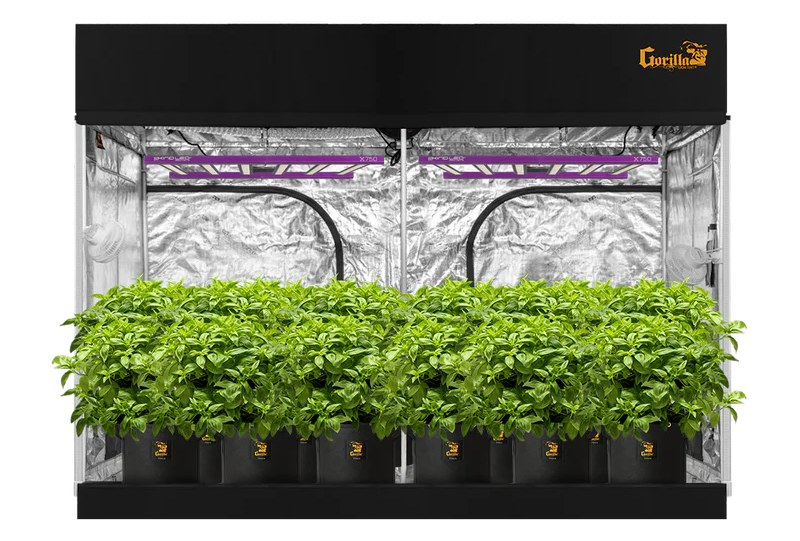 Grow Tent Kits: The Best Indoor Grow Tent Kit for Every Grower