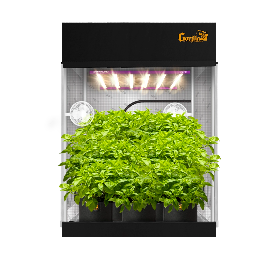 Grow Tent Kits: The Best Indoor Grow Tent Kit for Every Grower