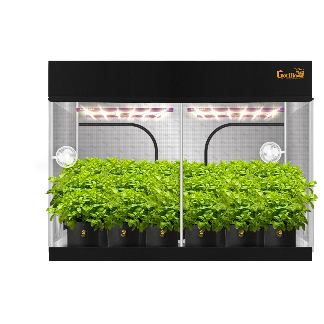 Grow Tent Kits: The Best Indoor Grow Tent Kit for Every Grower