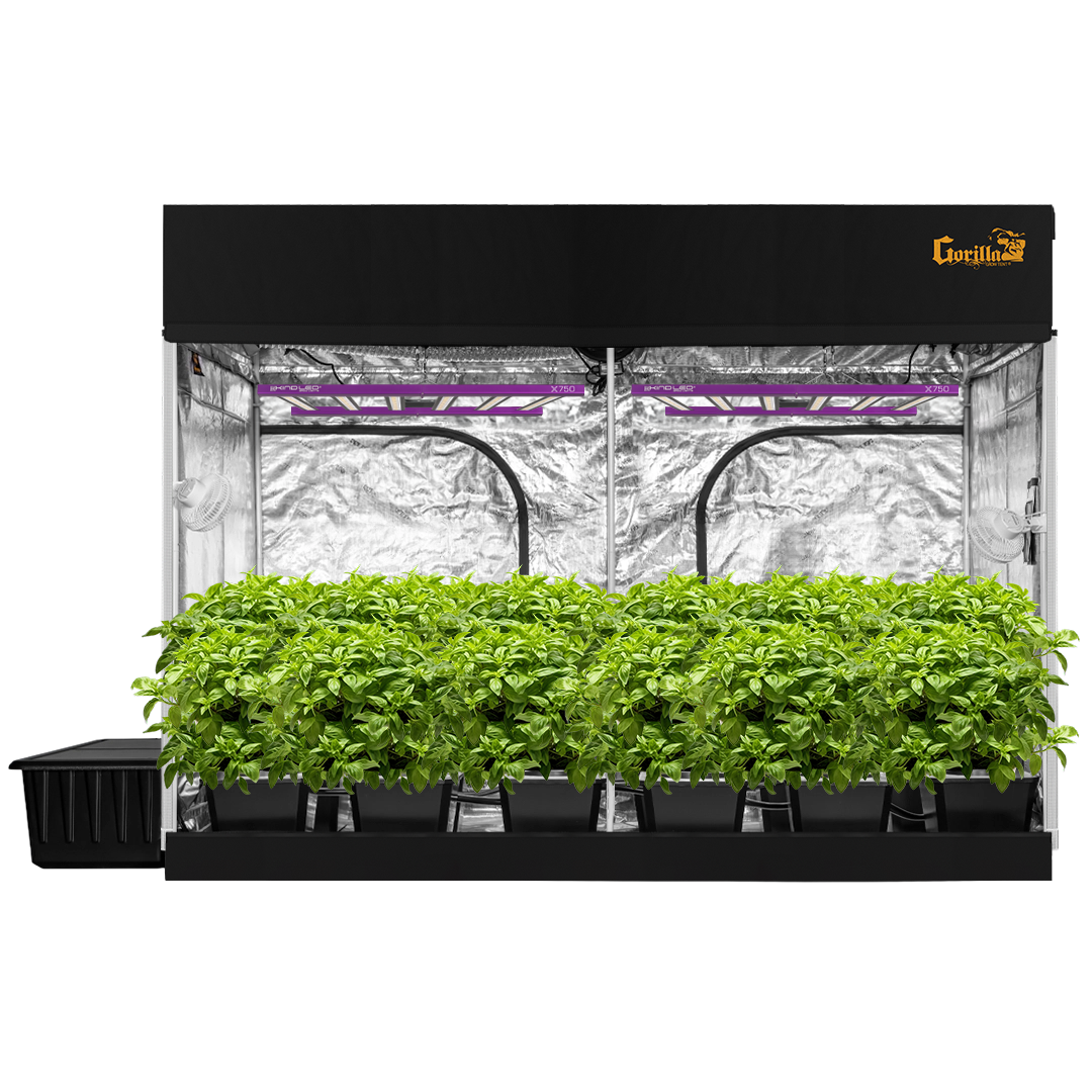 5x9 Grow Tent Kit - Hydroponic with X750