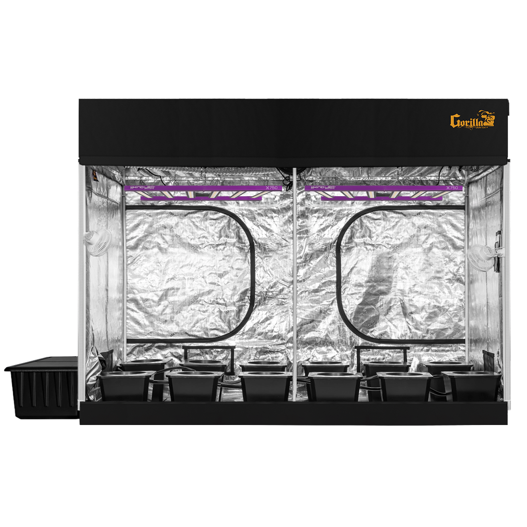 Grow Tent Kits: The Best Indoor Grow Tent Kit for Every Grower