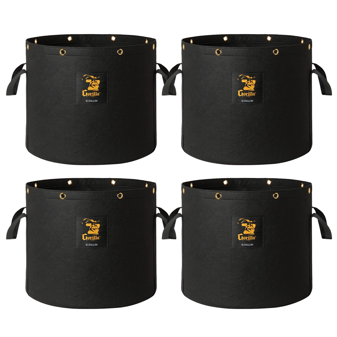 10 Gallon Grow Bags Gorilla Ideal For Spacious Plant Growth 10-gallon-grow-bags-gorilla-ideal-for-spacious-plant-growth