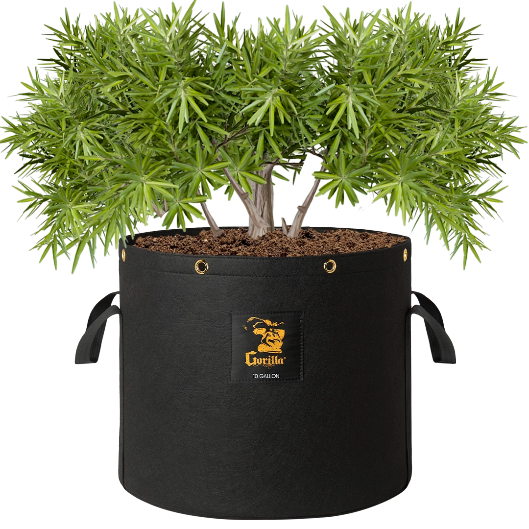 Gorilla 10 Gallon Fabric Grow Bags (4 Pack) | Gorilla Grow Tent