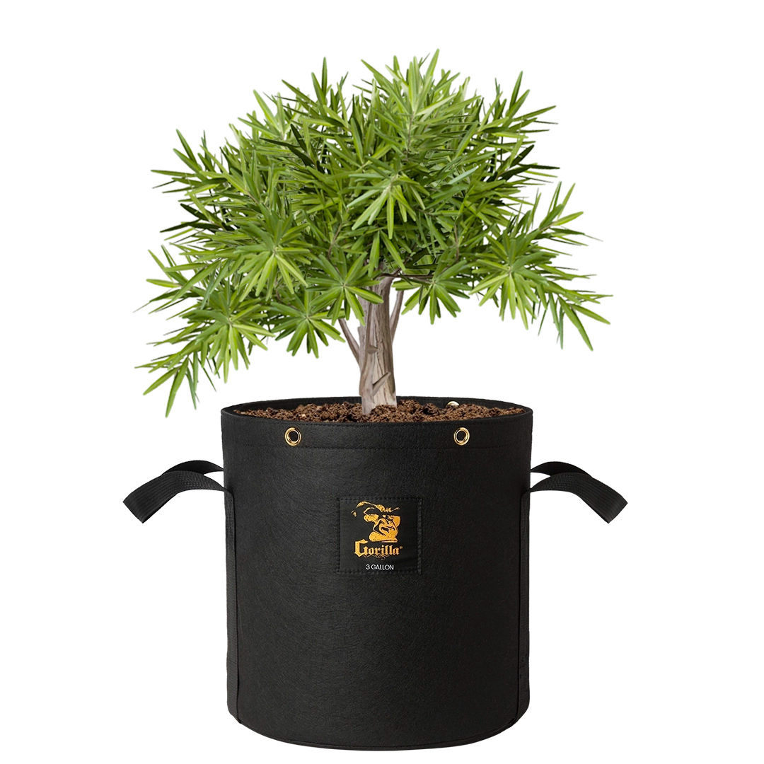 Gorilla 3 Gallon Grow Bag (4 Pack)