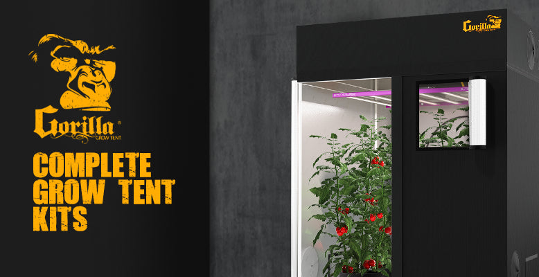 Grow Tent Kits: Everything You Need for Indoor Gardening