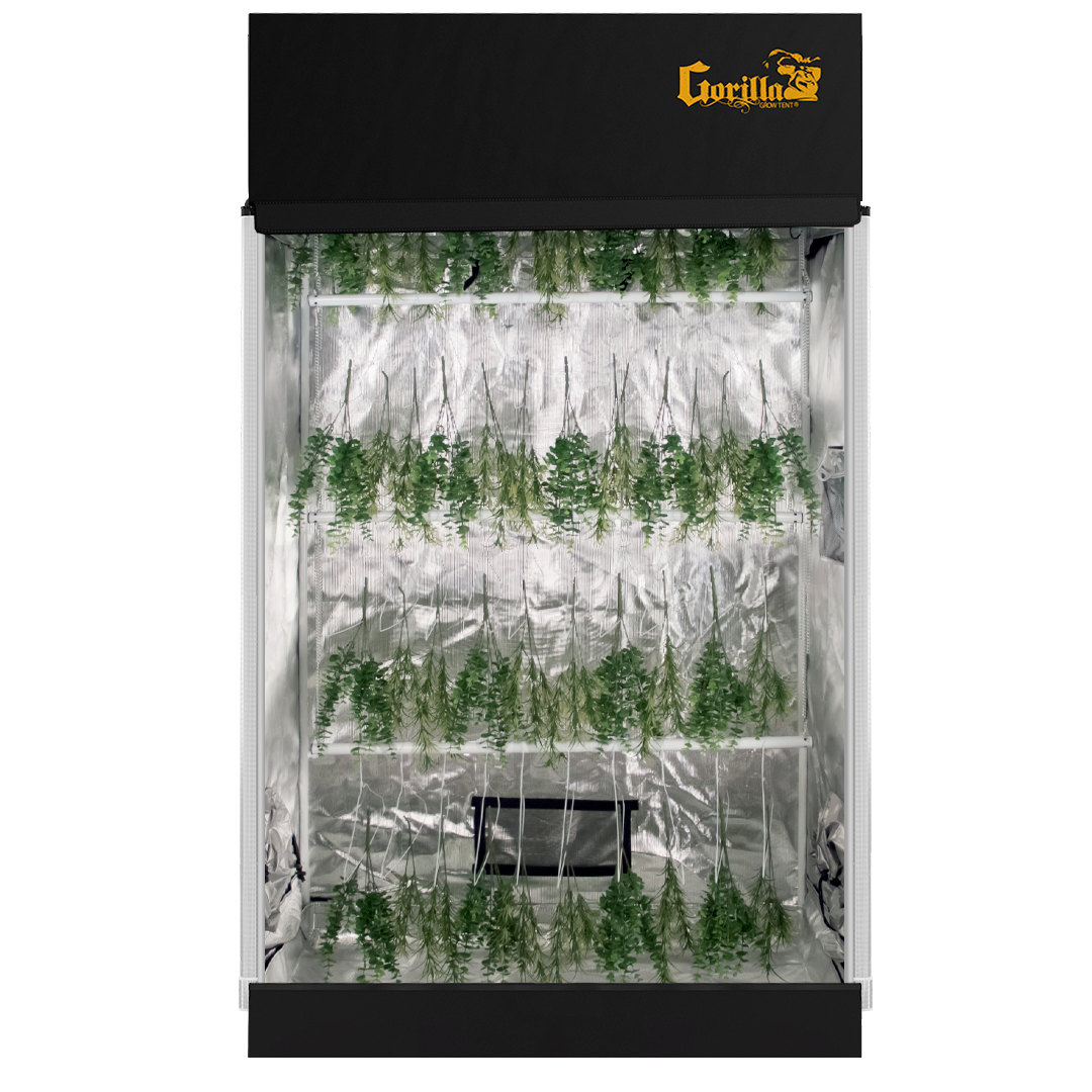 Drying Tent: The Best Solution for Drying Your Harvest