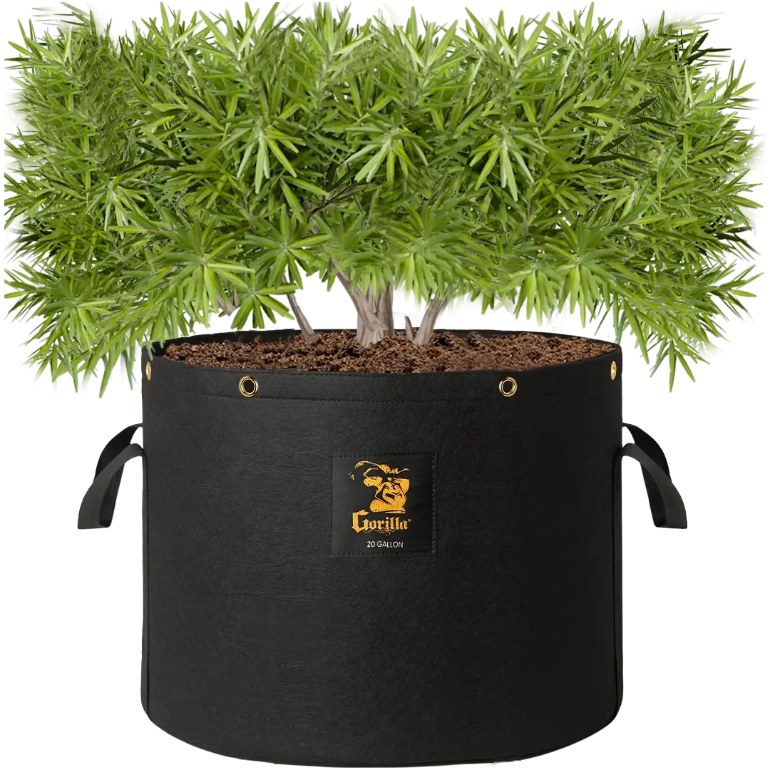 20 Gallon Fabric Grow Bags for Large Plants | Gorilla Grow Tent