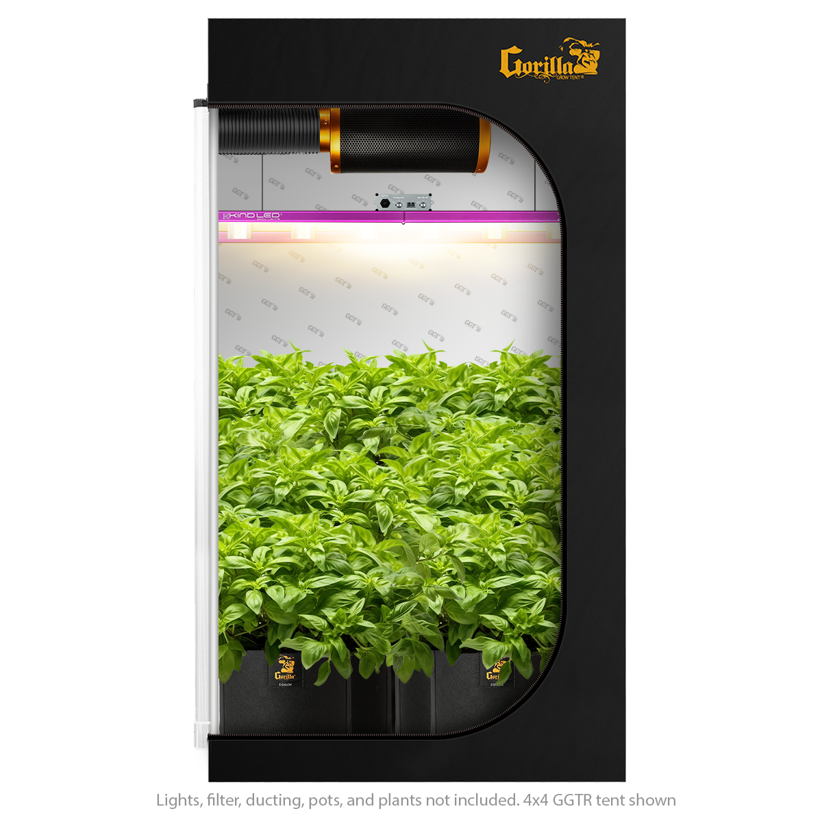 4x4 Grow Tent: Perfect Size for Indoor Gardening