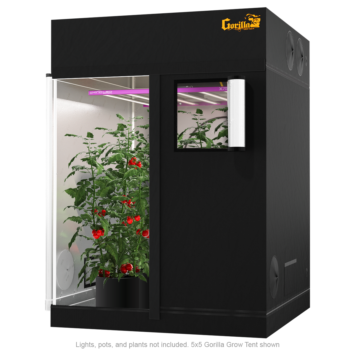 4x4 Grow Tent, Gorilla Grow Tent 4x4