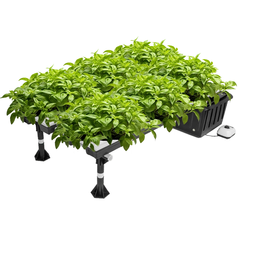 Super Flow Hydroponic System - 32-Site