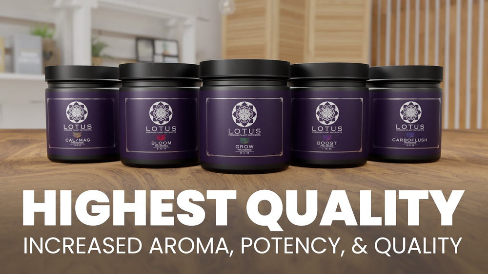 Lotus Nutrients, Organic Nutrients (4x Winner)