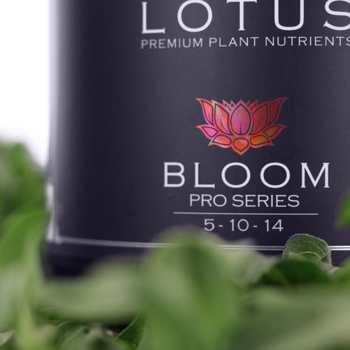 Bloom Food for Plants - Lotus Nutrients for Bigger Flowers