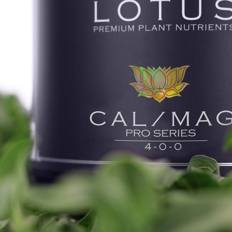 Cal Mag for Plants; Boost Plant Growth with Calcium and Supplement